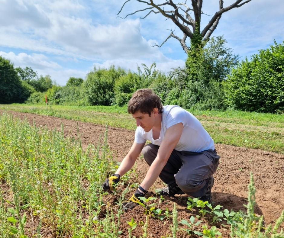 Volunteer | Heart of England Forest