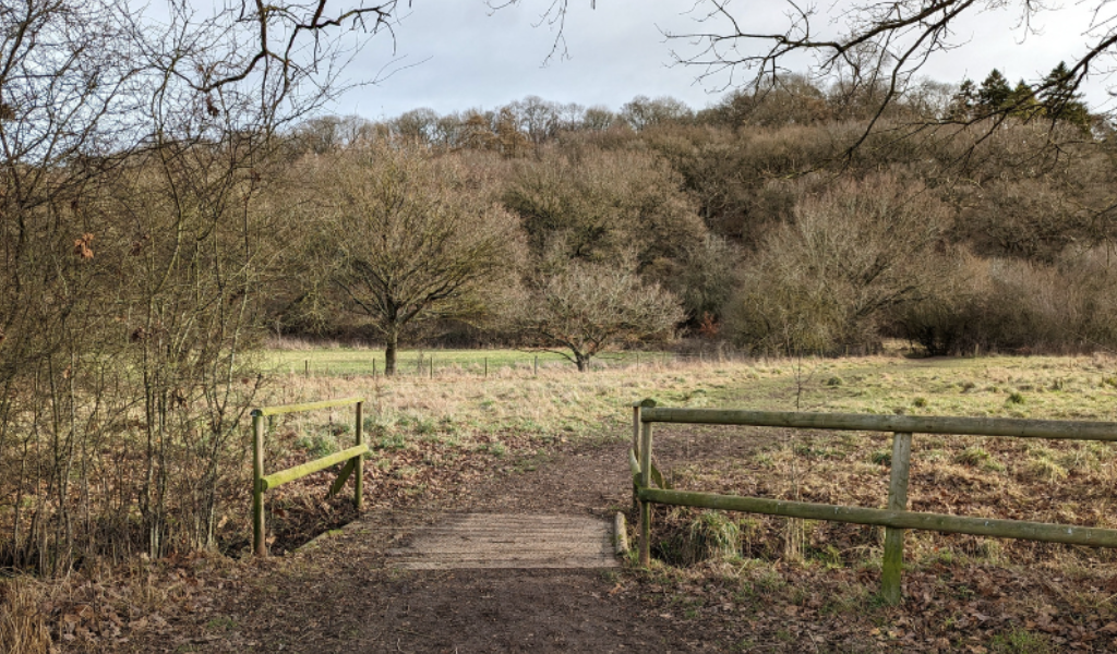 Morgrove Coppice - Wild Walk | Heart of England Forest