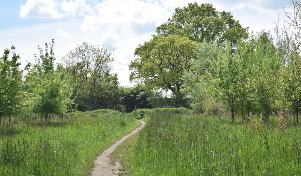 Morgrove Coppice - Wild Walk | Heart of England Forest