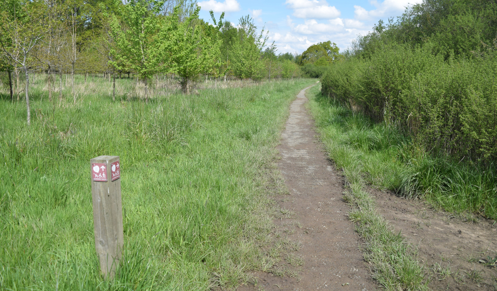 Morgrove Coppice - Accessible Trail | Heart of England Forest