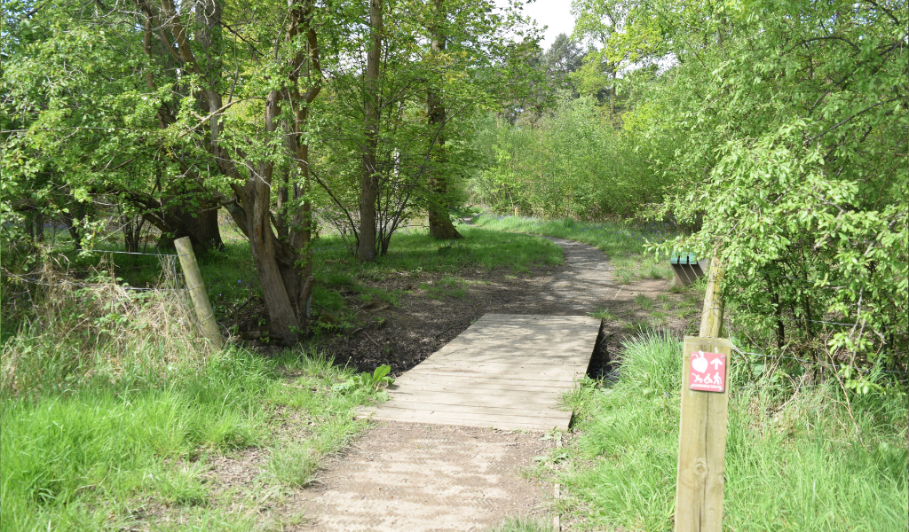 Morgrove Coppice - Accessible Trail | Heart of England Forest