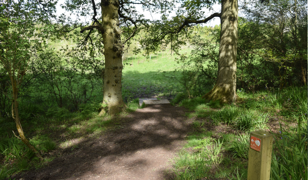 Morgrove Coppice - Wild Walk | Heart of England Forest