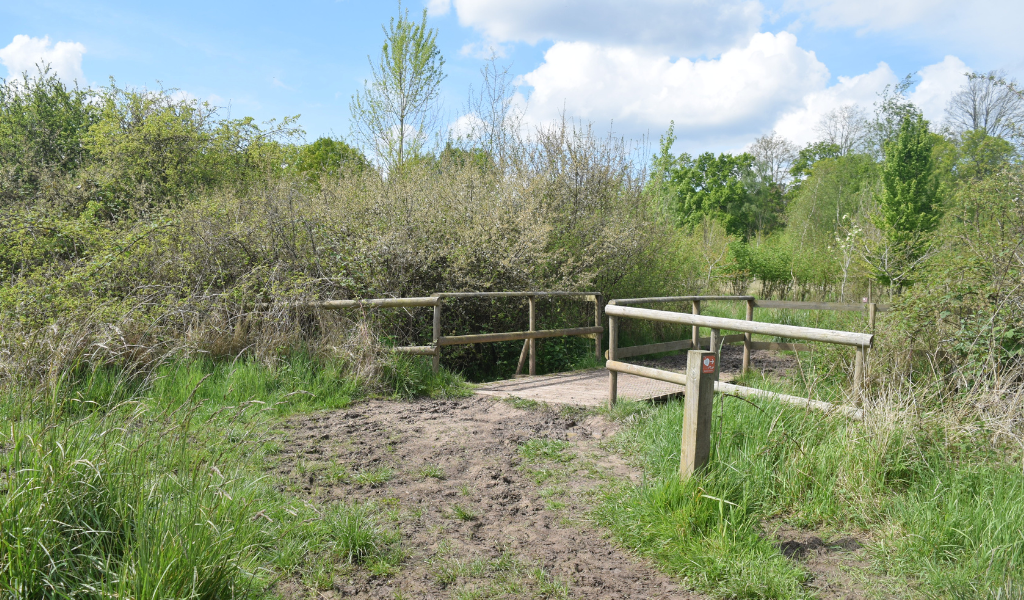 Morgrove Coppice - Wild Walk | Heart of England Forest