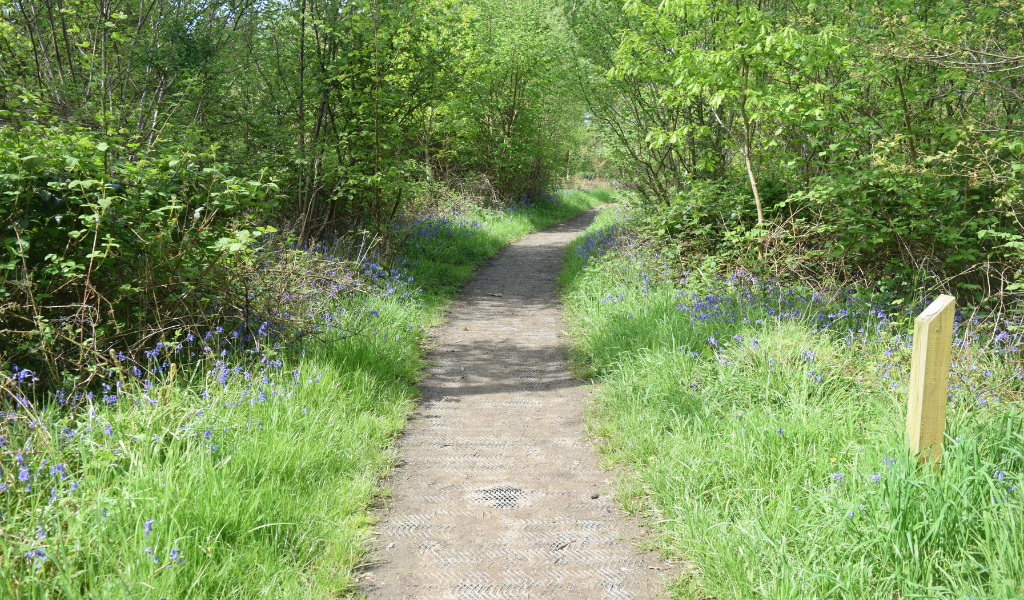 Morgrove Coppice - Wild Walk | Heart of England Forest