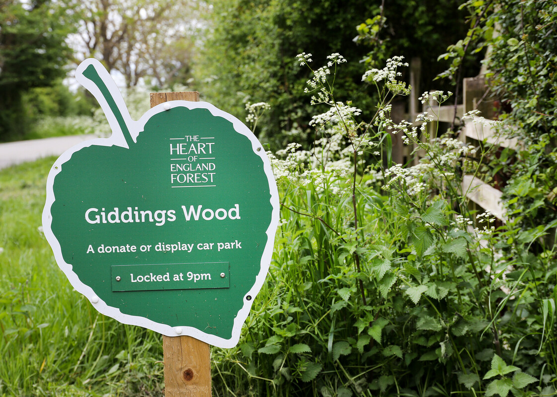 Help inform how the Forest grows | Heart of England Forest