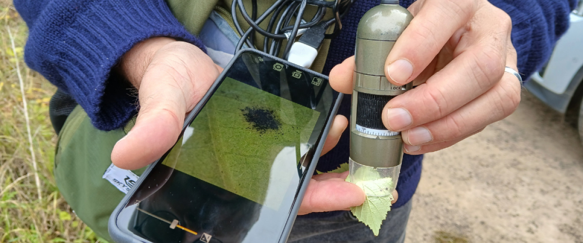 Behind the scenes: Forest foray with the Warwickshire Fungus Group ...