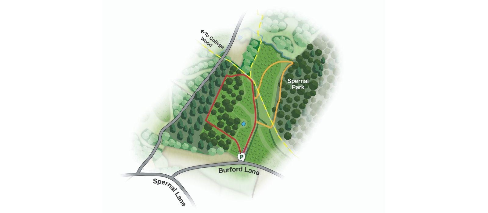 Morgrove Coppice - Wild Walk | Heart of England Forest
