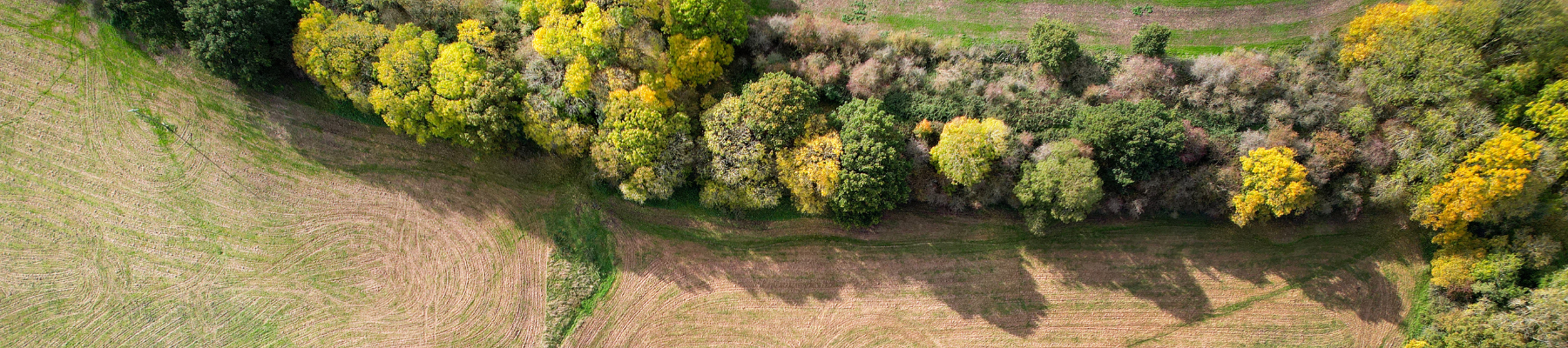 Working in partnership to increase trees in our landscape | Heart of ...