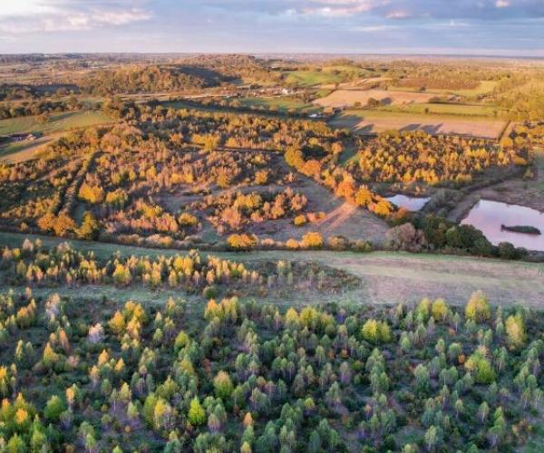 News | Heart of England Forest