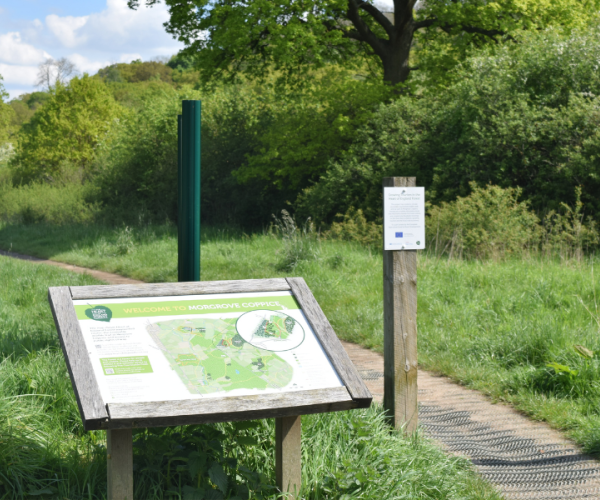 Walks in the Forest | Heart of England Forest