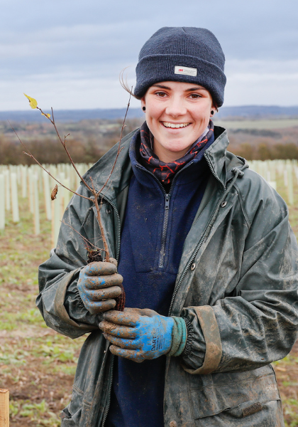 Behind the scenes: Woodland management during the winter months | Heart ...